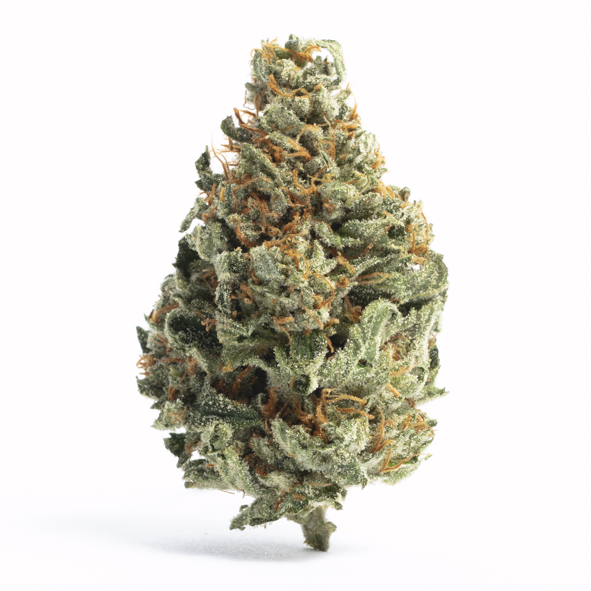 Flowers – T.L.C Delivery INC.